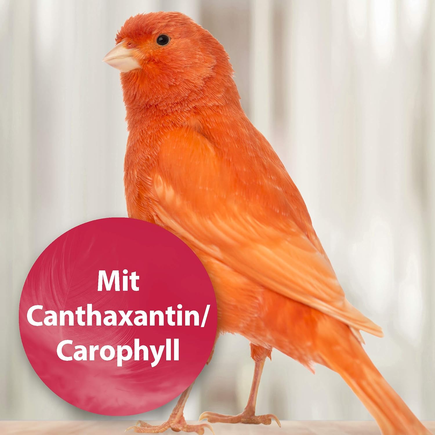 Quiko Canthaxanthin/Carophyll is a complementary food for all birds ...