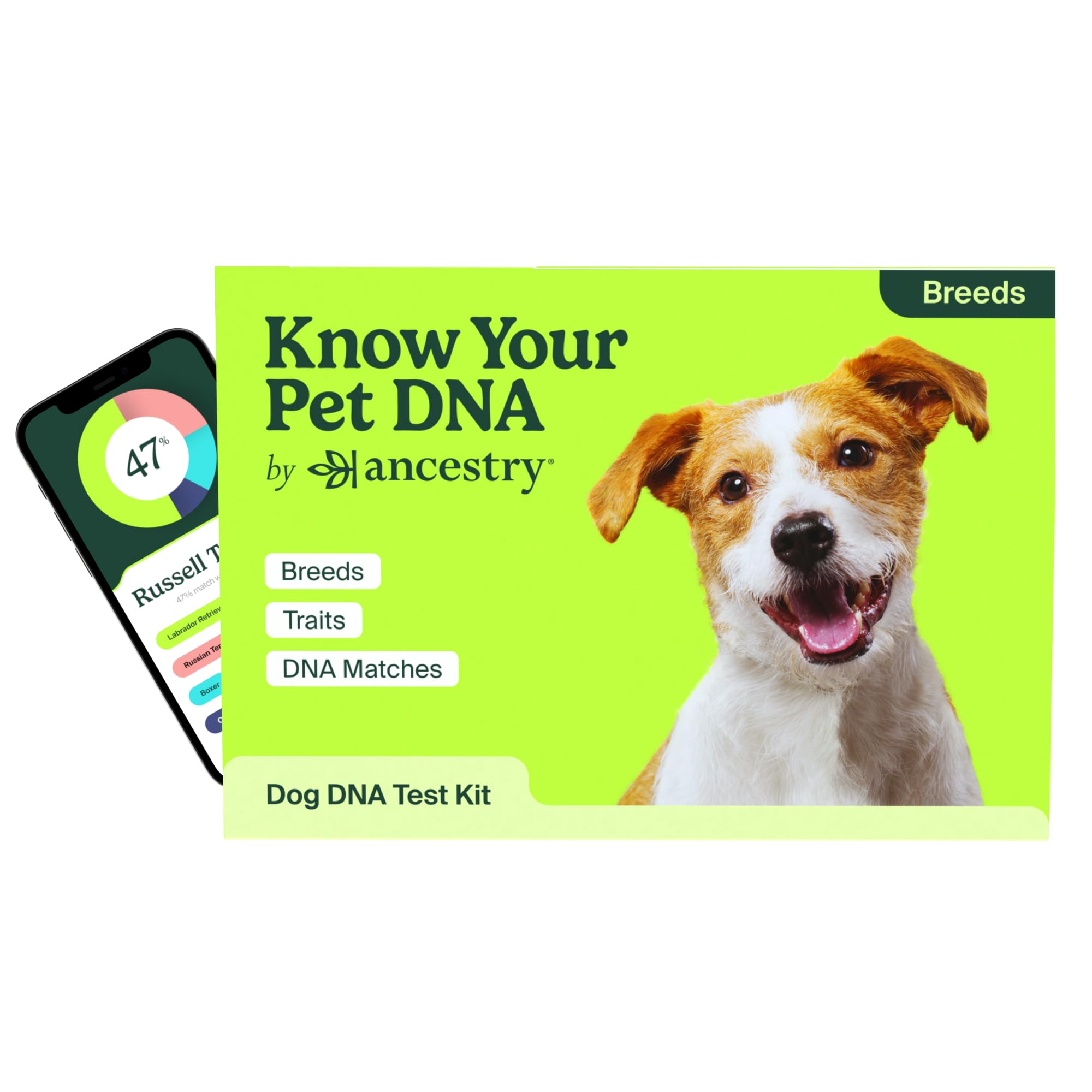 AncestryDNA Know Your Pet DNA: Dog DNA Breed Identification Test ...
