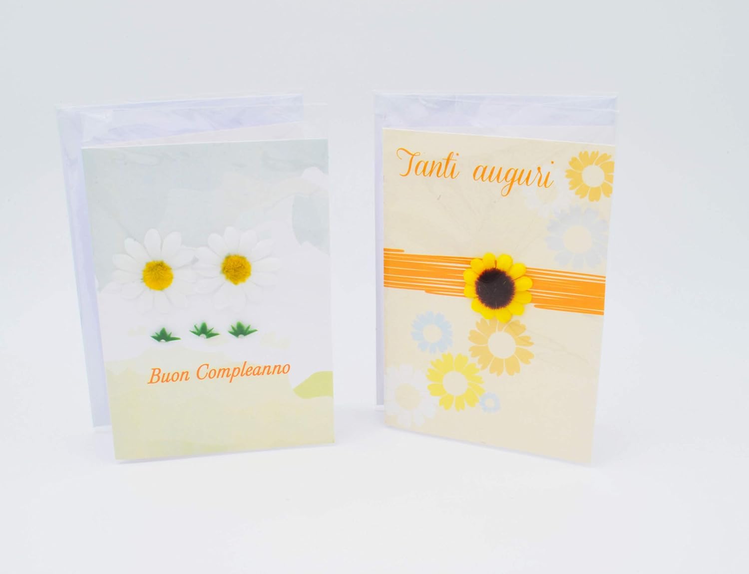 Italian Joy ASEV-01 Greeting Cards with Application, 6 Pieces – BigaMart