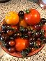 Amazon.com : First Saturday Lime 20lb : Patio, Lawn & Garden