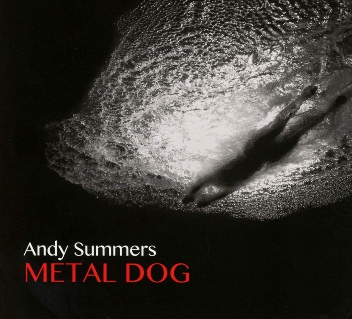 Metal Dog: Amazon.co.uk: CDs & Vinyl