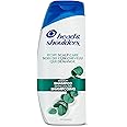 Head & Shoulders Itchy Scalp Shampoo, 613ML White,Blue,Green,1 : Amazon ...