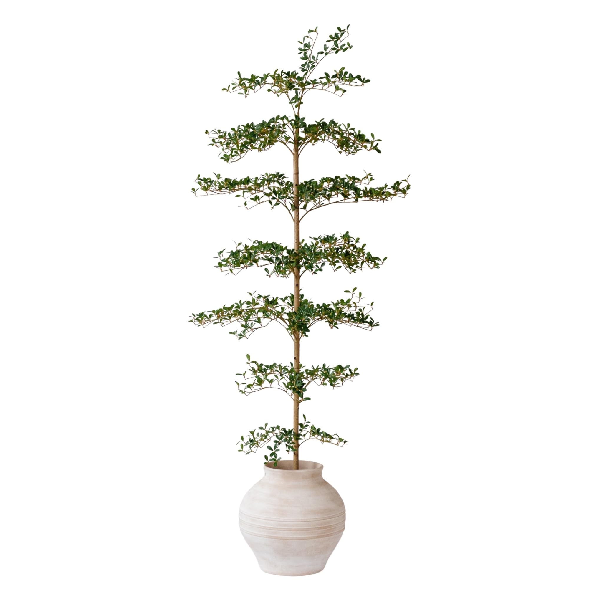 VYNT Black Olive Tree Artificial 7 Feet Tall, Artificial Shady Lady ...