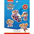 Amazon.com: Paw Patrol Skye Decals - Set of 3 Skye Stickers for Kids ...