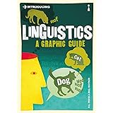 Introducing Sociology: A Graphic Guide (Introducing Graphic Guides): Nagle, John, Piero ...