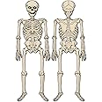 Amazon.com: Beistle Vintage Jointed Skeleton : Everything Else