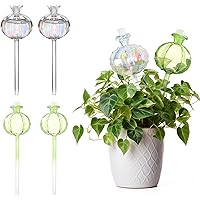 Amazon.com: Plant Watering Globes Large, 4 Pcs Self Watering Planter Insert for Indoor & Outdoor ...