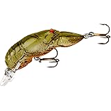Amazon.com : Rebel Lures Original Realistic Crawfish Crankbait Fishing ...