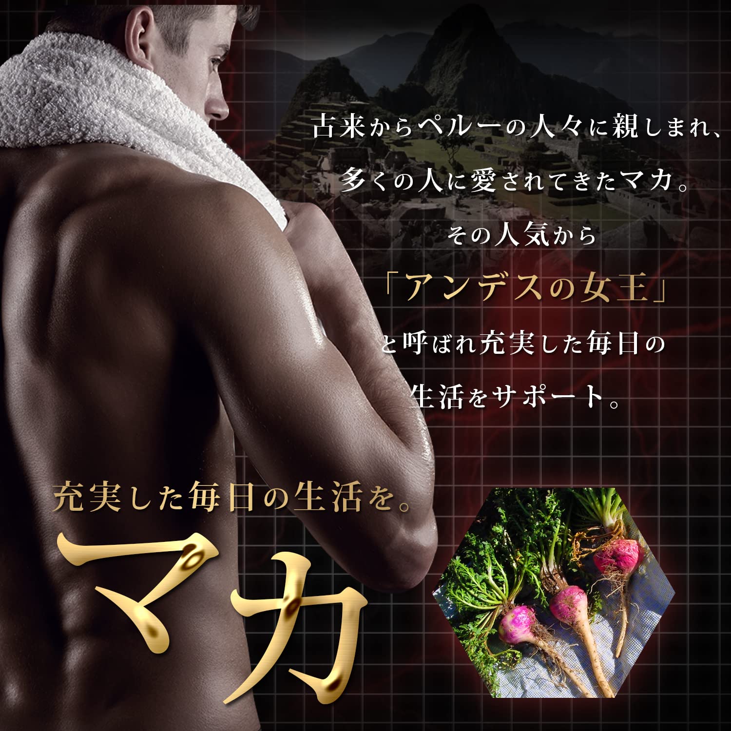 Mua ULBO MACA CHARGE Ginseng, Maca, Citrulline, Arginine, Zinc, 10 Selected Types, 90 Tablets ...