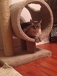 Amazon.com : Molly and Friends "Loft and Round" Premium Handmade 2-Tier ...