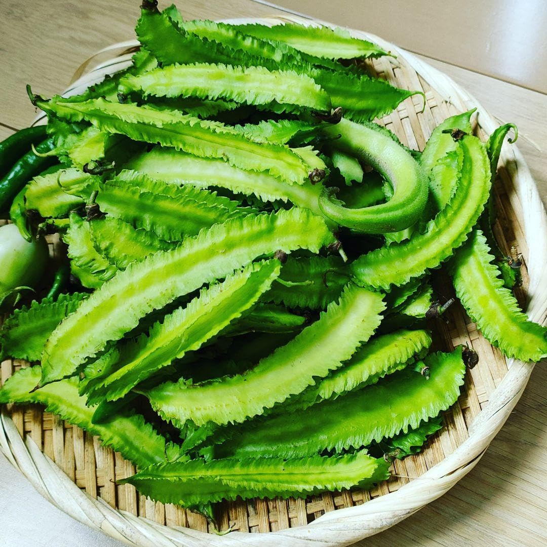 Mua 10 Square Bean Seeds, Vegetable Seeds trên Amazon Nhật chính hãng ...