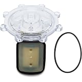 Amazon.com: Jandy 2 Pack Zodiac 7056 Swimming Pool Replacement Check ...