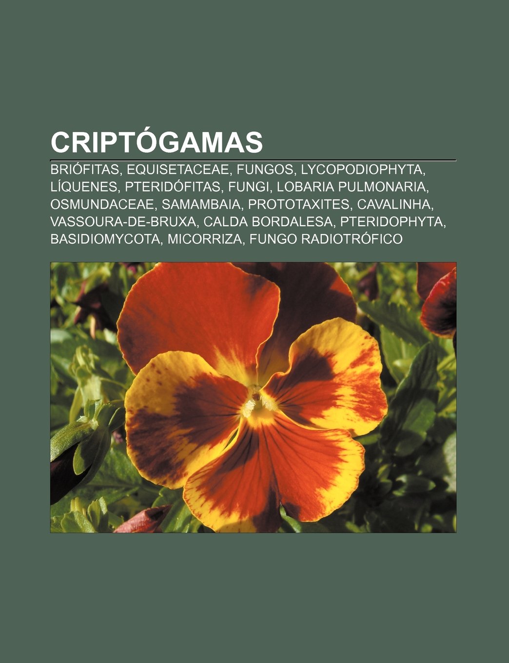 Criptogamas: Briofitas, Equisetaceae, Fungos, Lycopodiophyta, Liquenes ...
