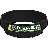 Amazon.com : WaterRounds - 3 pack, 24 in Planting Rings, Edging and ...