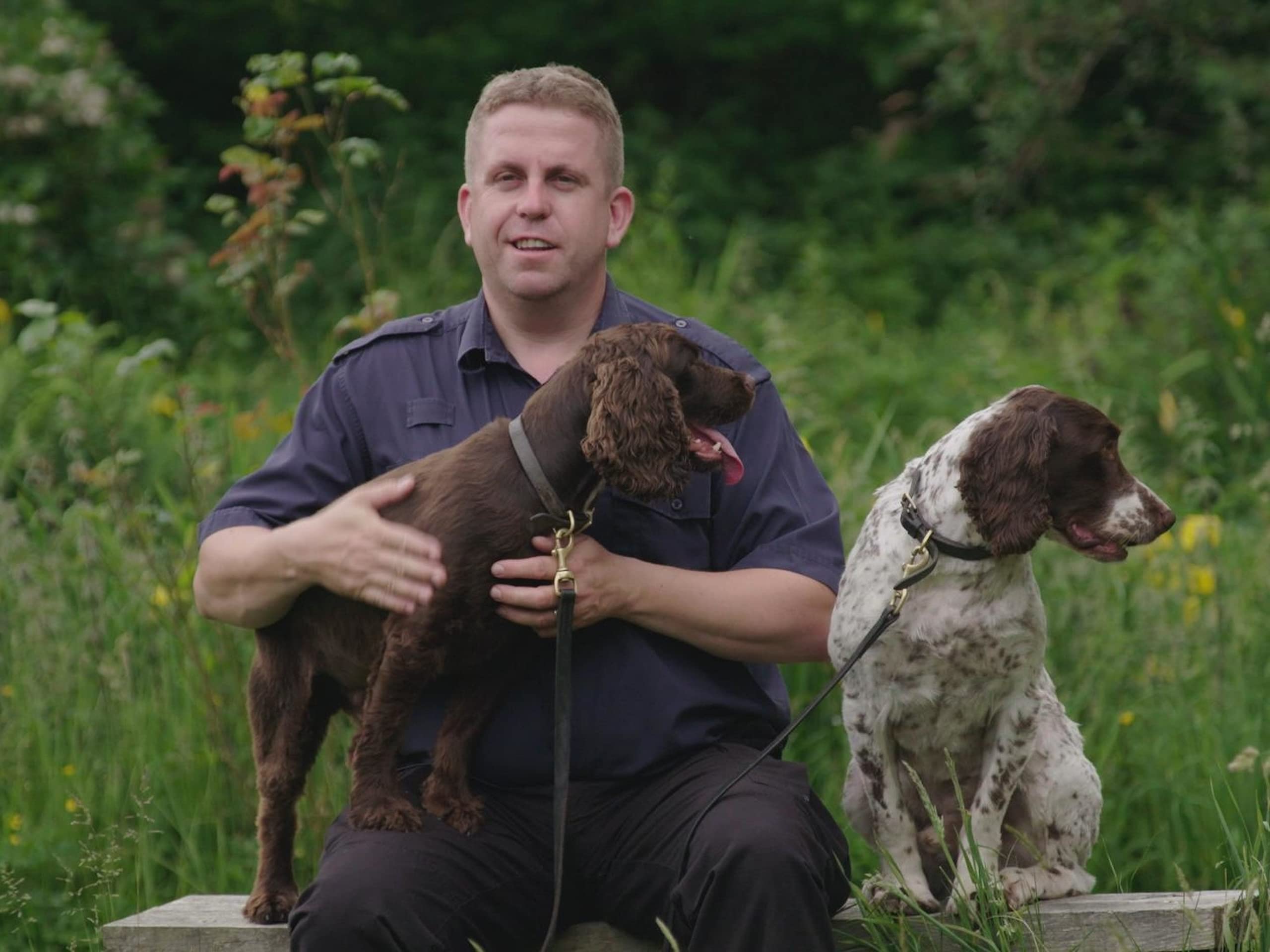 Watch Dog Detectives - Season 1 | Prime Video