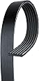 Amazon.com: ACDelco 12564763 Serpentine Belt: Automotive