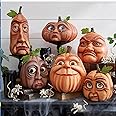 Amazon.com: Expressive Pumpkin Family Expressive Pumpkin Reign ...