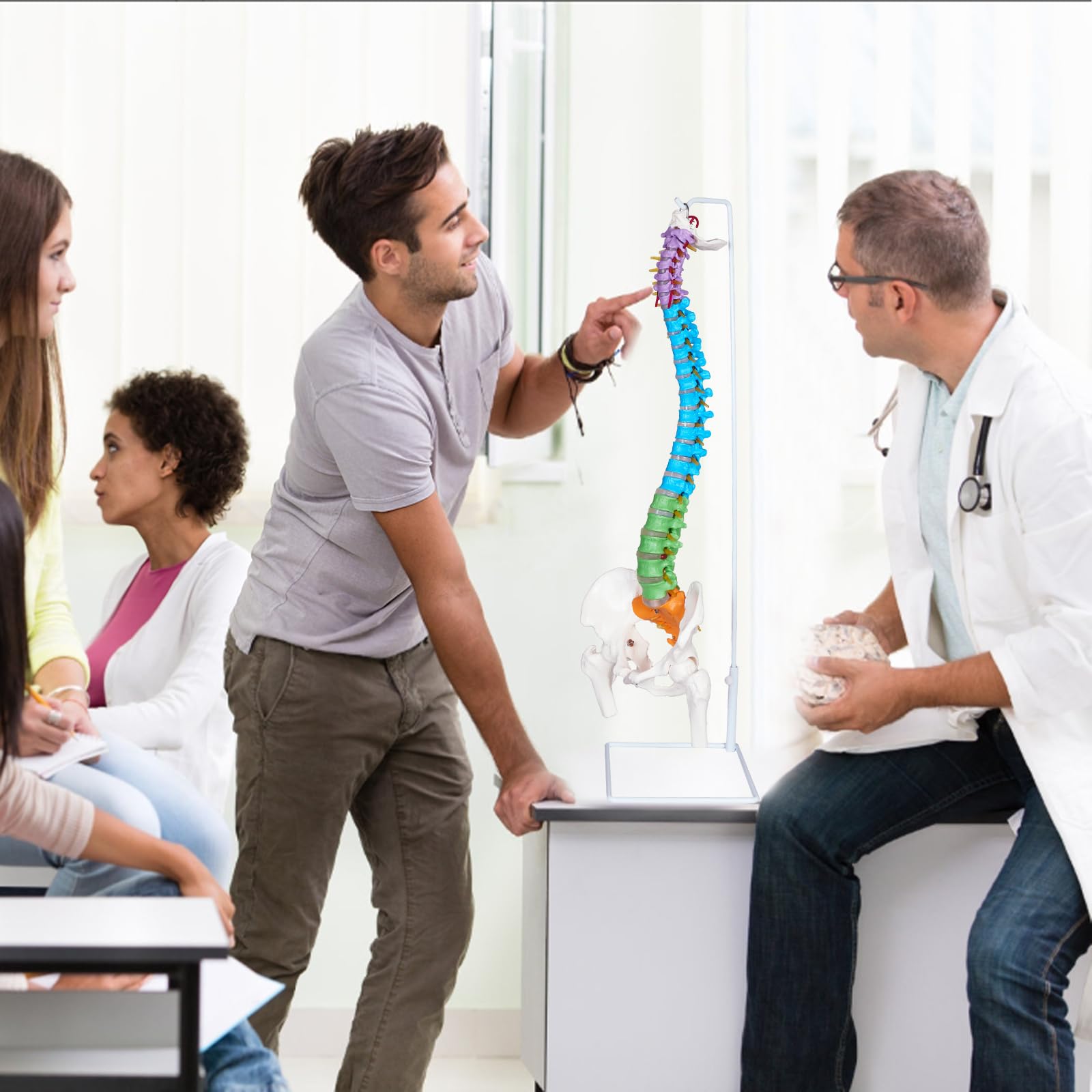 Mua NLShan 34.6'' Full Size Human Spine Skeleton Model, Color ...
