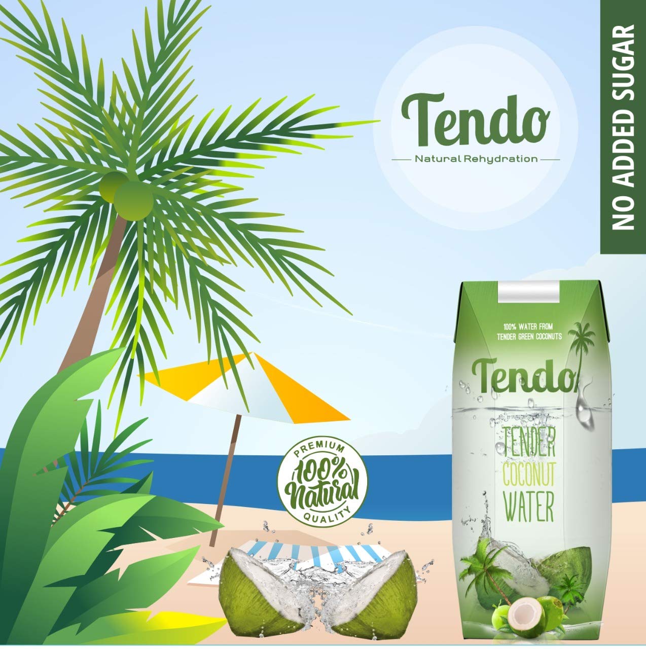 TENDO Coconut Water 330ML Pack of 24: Amazon.in: Grocery & Gourmet Foods