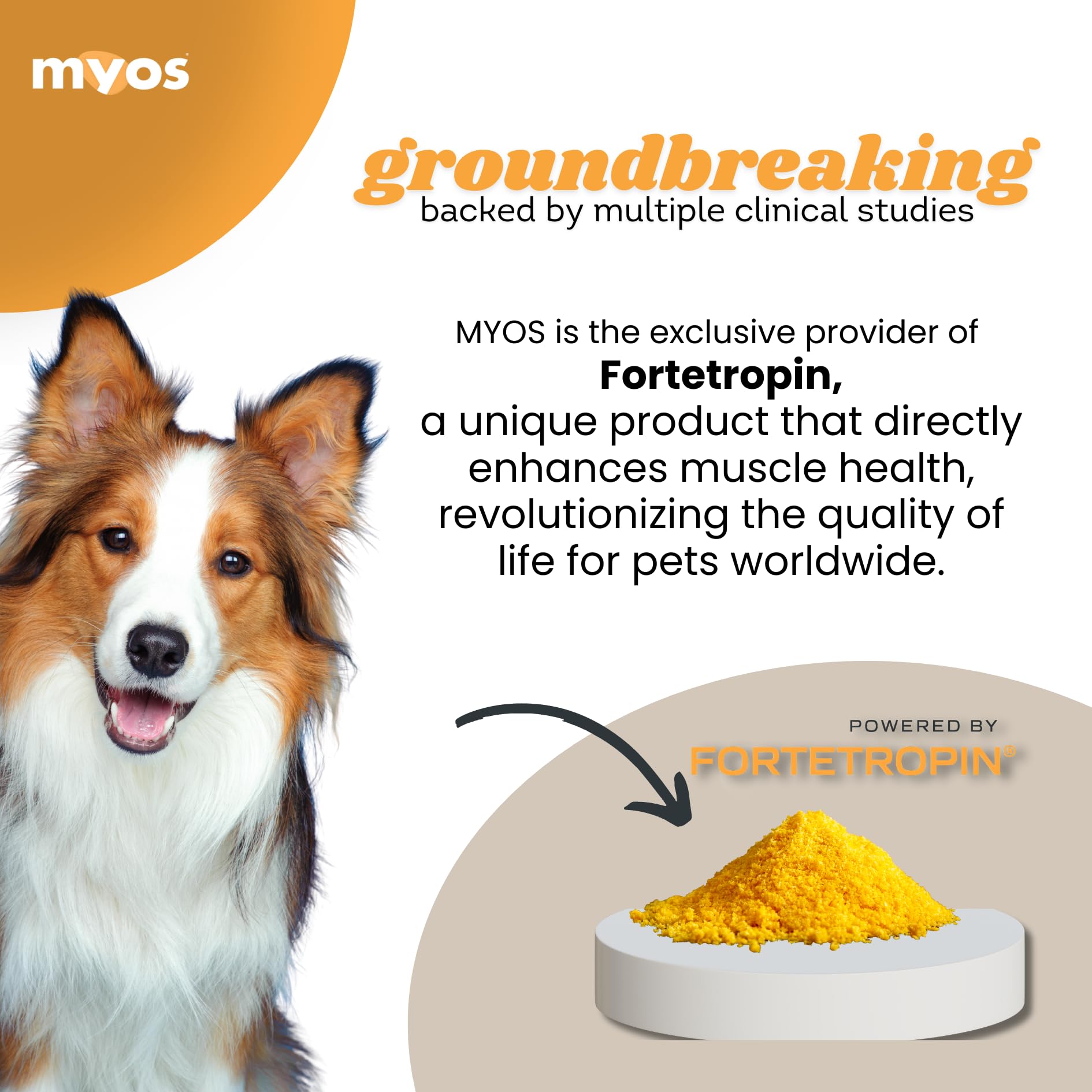 Mua MYOS Canine Muscle Formula - All-Natural Muscle Building Supplement ...