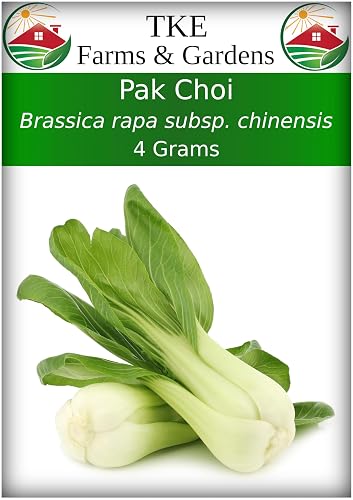 TKE Farms & Gardens - Bok Choy Seeds for Planting (Pak Choi), 1500 ...