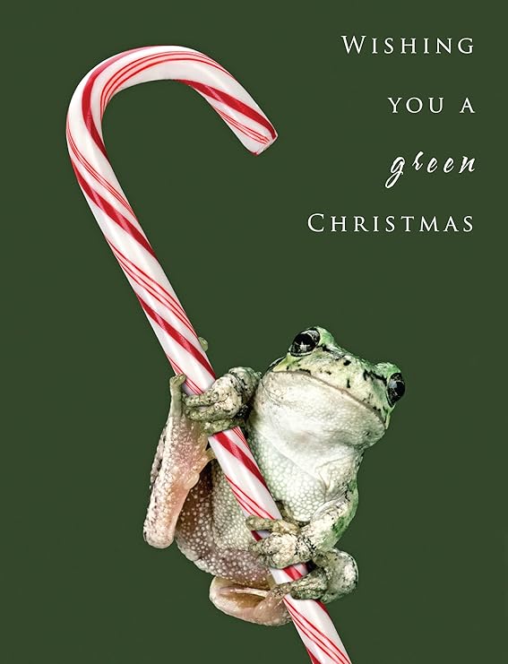 Christmas Frog Christmas Cards: Amazon.co.uk: Office Products