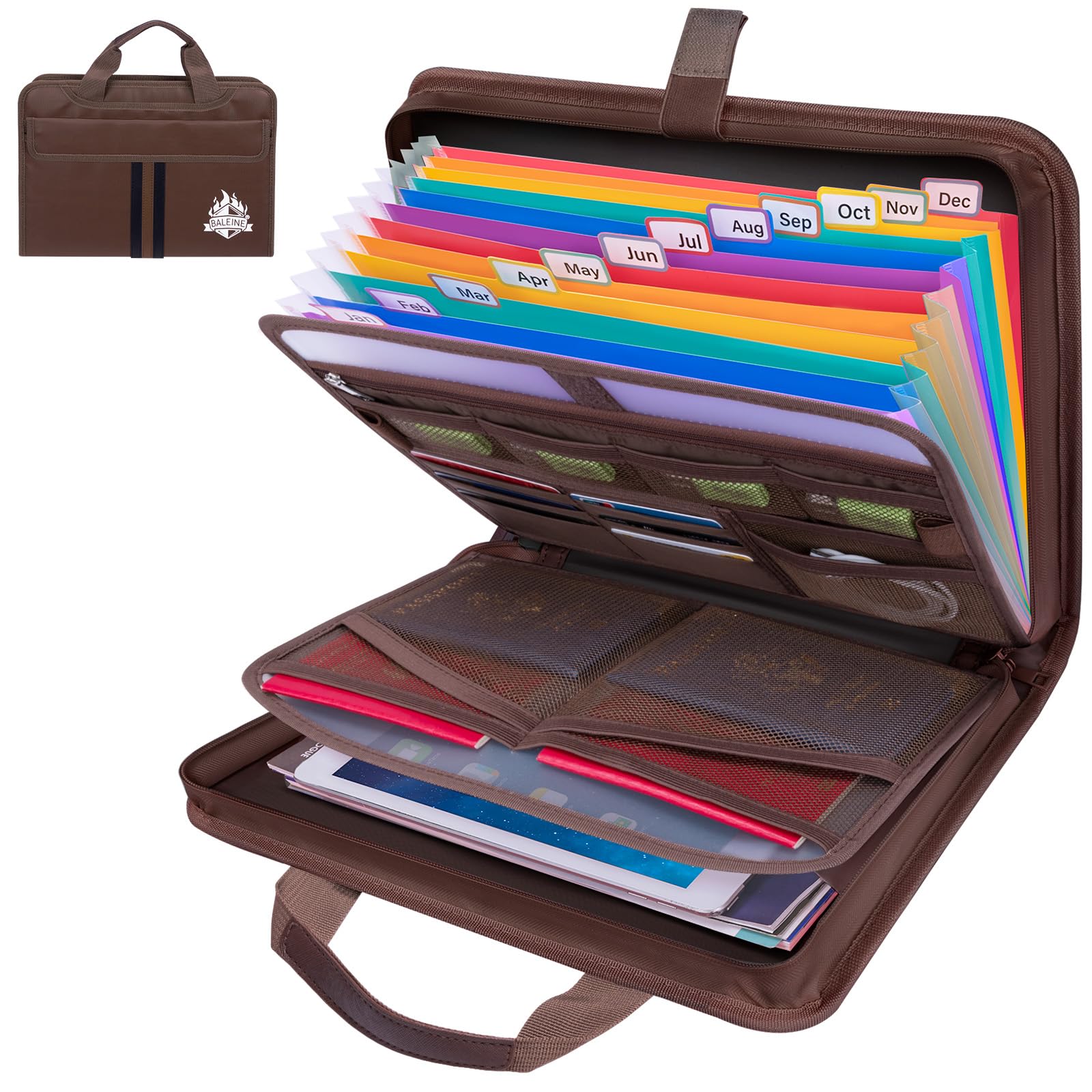 BALEINE Fireproof Document Organizer with Handle, 12 Pockets PVC ...
