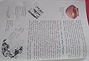 Our past - History For Class - 6 - 654 : NCERT: Amazon.in: Books