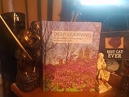 Deep Learning (Adaptive Computation and Machine Learning series): Ian ...