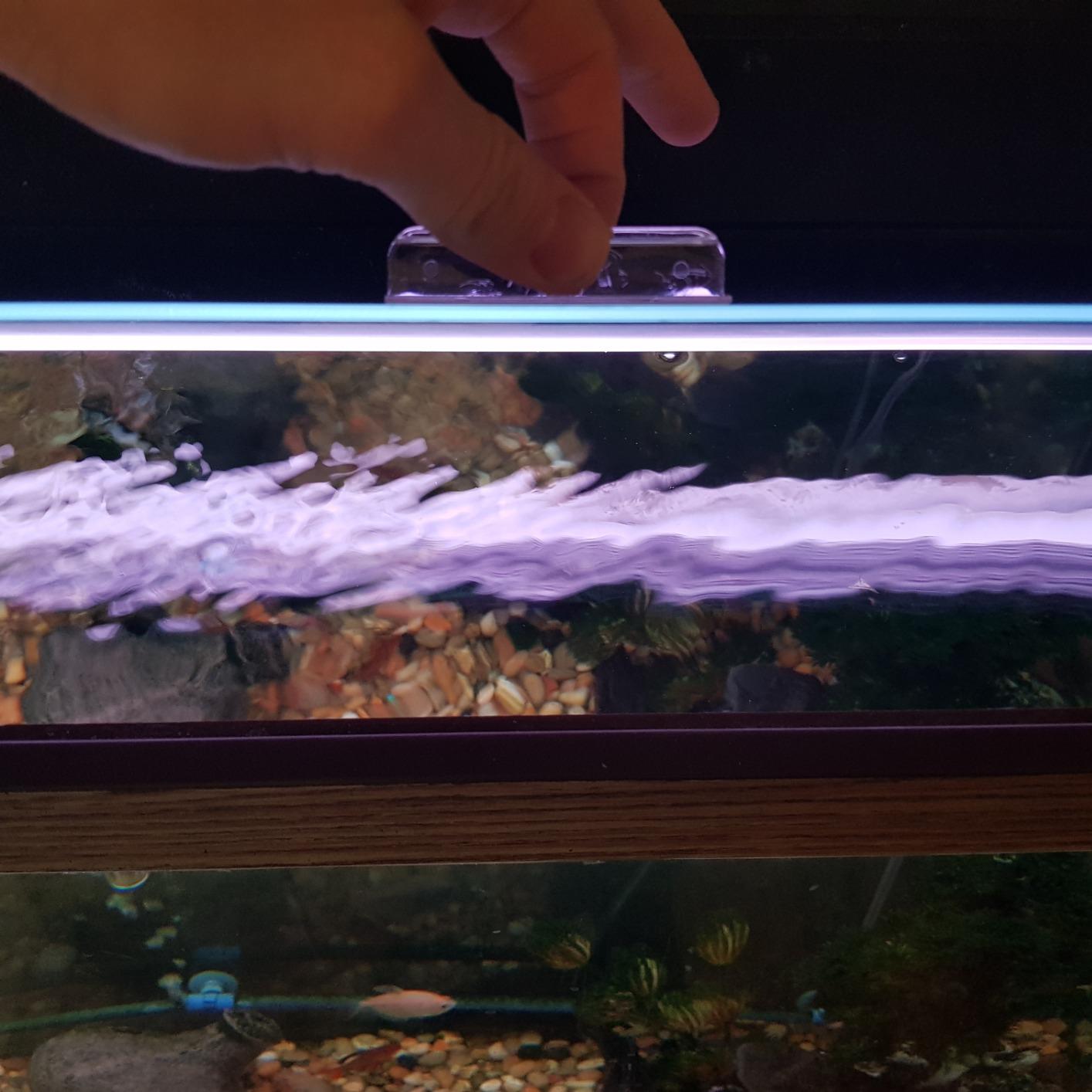 $8/mo - Finance Aquarium Glass Canopies for Aquariums with & Without ...