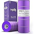 Amazon.com : MOAJ Elite Pool Filter Replaces Jandy CS150, PJANCS150, PWWCT150, Hayward CCX1500RE ...