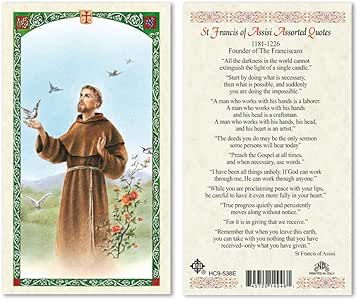 Amazon.com : Saint St Francis of Assisi Laminated Prayer Cards - Pack ...