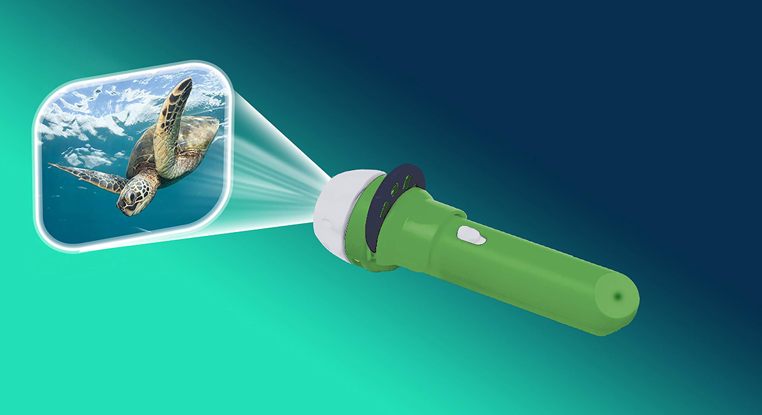 Mua Natural History Museum Brainstorm Toys: Sea Creatures Torch and ...