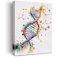 Amazon.com: Watercolor DNA Science Wall Art Decor Genetics Poster ...