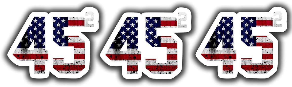 Amazon.com: Trump 2020 (45x2) Hard Hat Sticker Decals 2 Packs of 3 ...