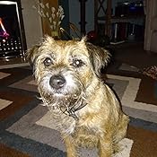 The Happy Dog Cookbook: Biscuits, Burgers, Bites and More: Amazon.co.uk ...