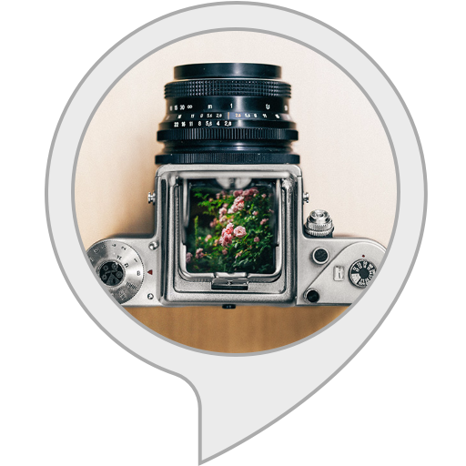 Amazon.in: Photo Assignment : Alexa Skills