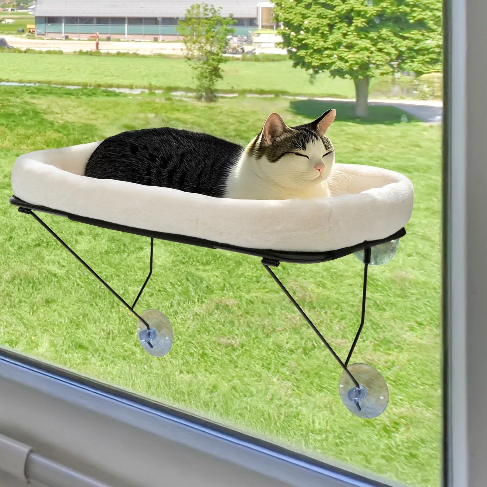 Foldable Cat Window Perch – Metal Frame with 4 Strong Suction Cups ...