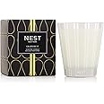 Amazon.com: NEST Fragrances Classic Grapefruit, Classic Candle, 8.1 oz ...