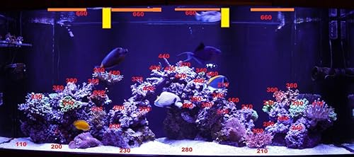 Best LED reef aquarium lights for coral growth (SPS/LPS/soft)
