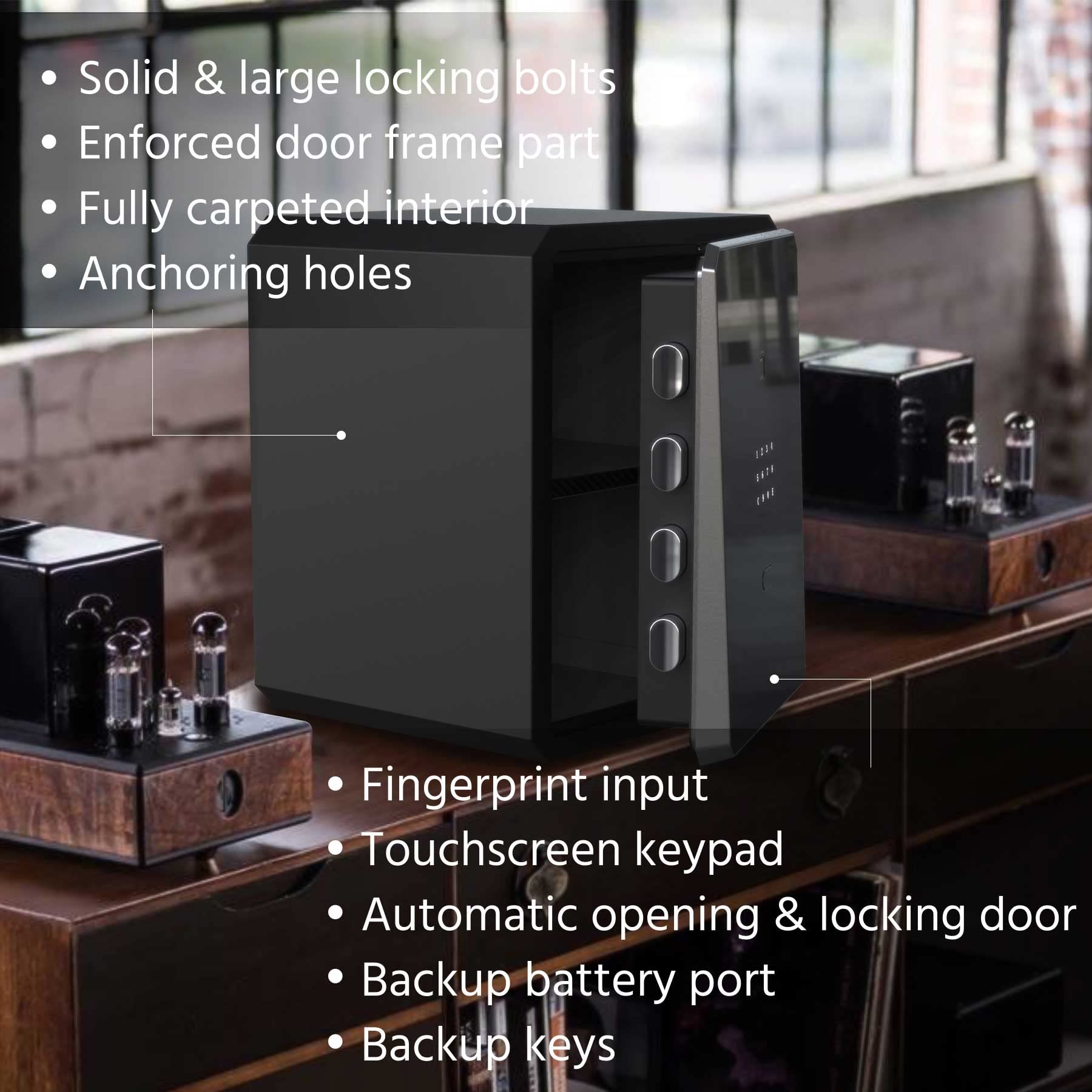 BOFON Home Safe, Fingerprint Password Safe Box With Key, Cabinets Safe ...