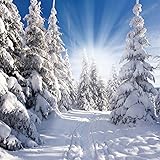 Amazon.com: AOFOTO 10x10ft Snowy Scenery Backdrop Forest Snow Tree Photography Background Winter ...