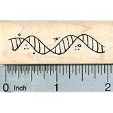 Amazon.com: CRASPIRE Science Clear Rubber Stamps Experiment DNA ...