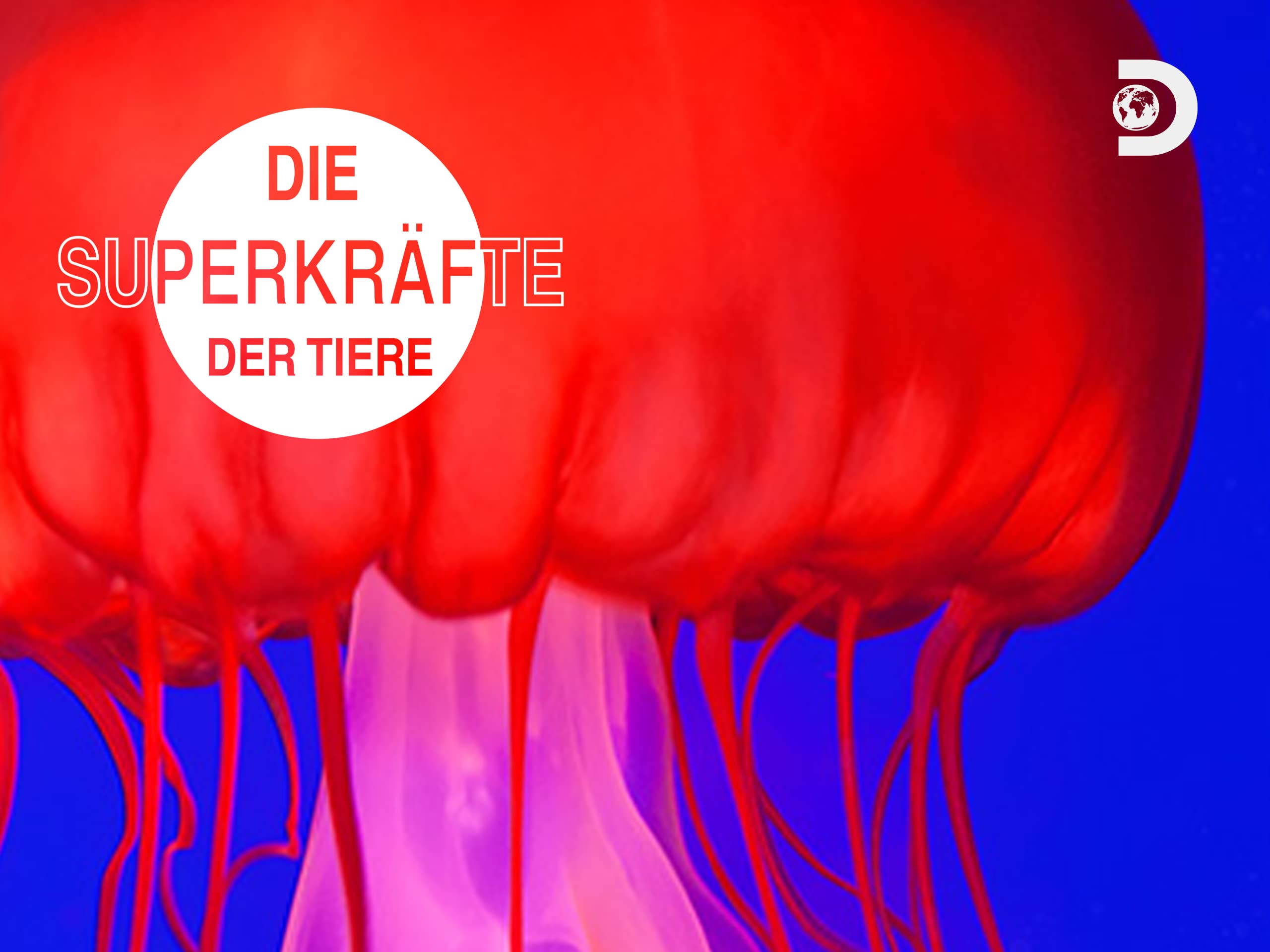 Amazon de Die Superkr fte Der Tiere Season 1 Ansehen Prime Video amazon-de-die-superkr-fte-der-tiere-season-1-ansehen-prime-video