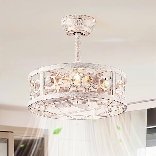 LEDIARY 16in Caged Fandelier Ceiling Fan with Light and Remote, Small ...