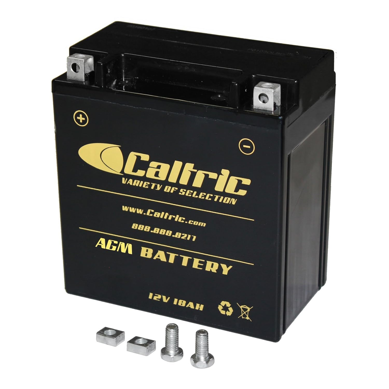 Amazon.com: CALTRIC AGM BATTERY Fits KAWASAKI VN1600 VN-1600 VULCAN ...