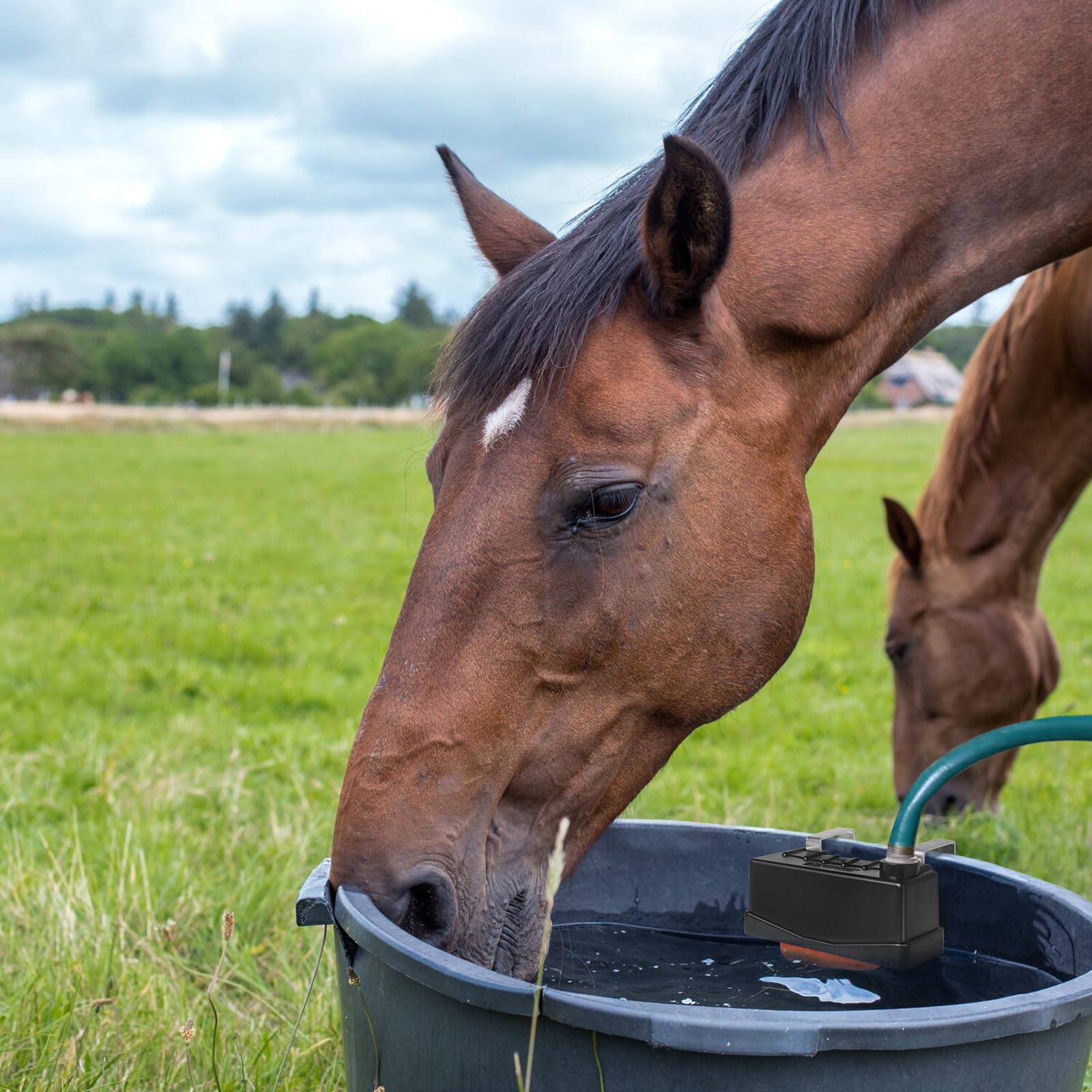 Water Trough Float Valve Livestock Stock Tank Float Valve For Water ...