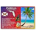 Amazon.com : Florida MAP Postcard Set of 20 Identical Postcards. FL ...