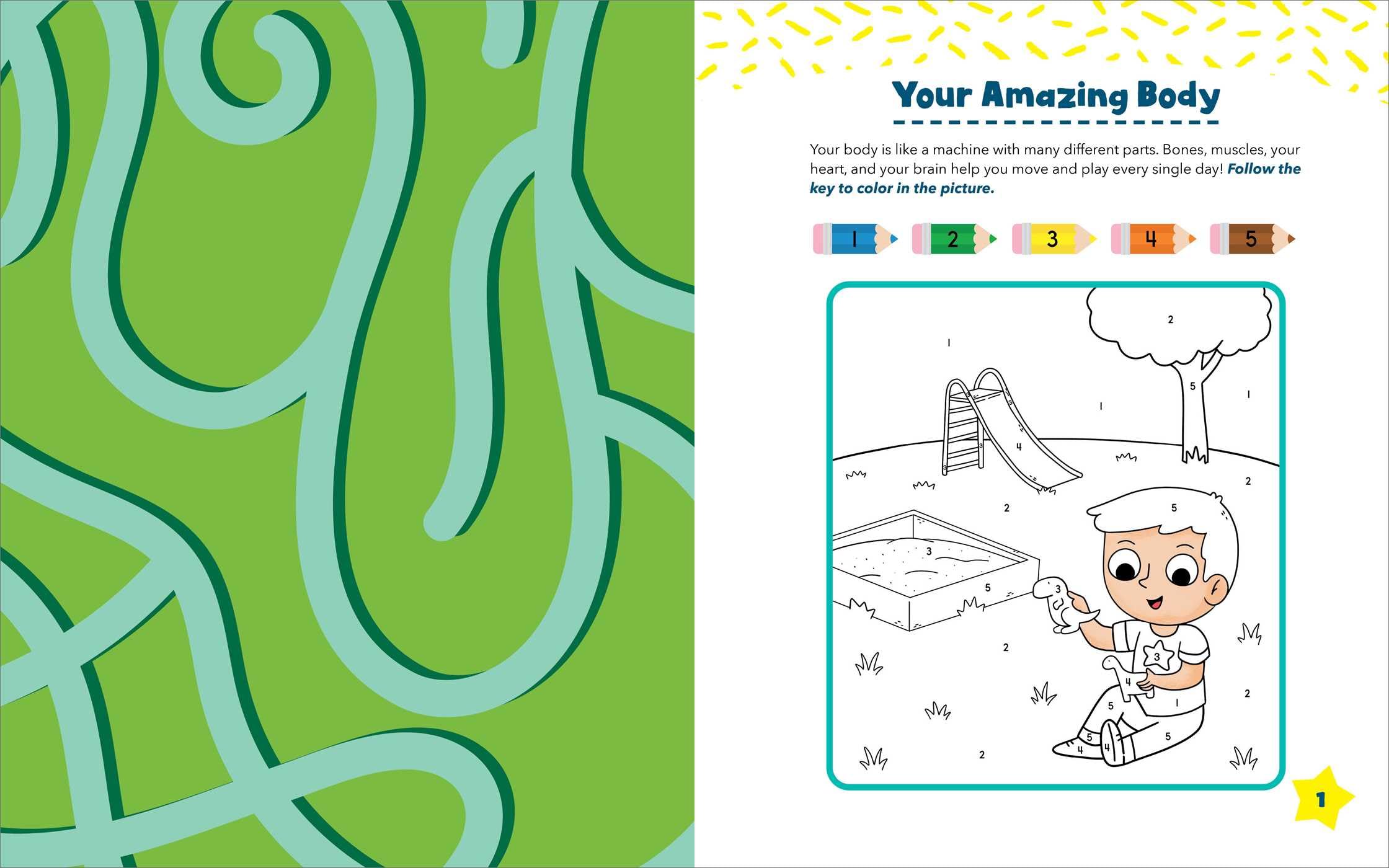 Mua Human Body Preschool Activity Book: Hands-On Learning with Mazes ...