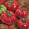Amazon.com : Beefsteak Tomato Seeds Packet 500+ Seeds : Patio, Lawn ...